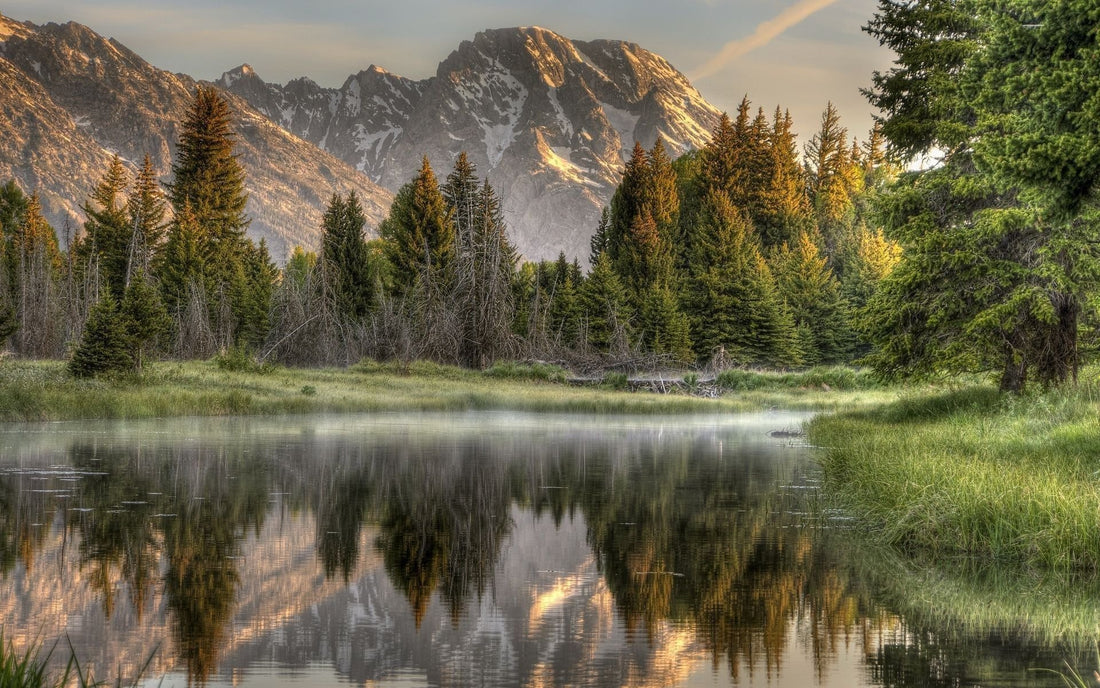 Wild Range Outfitters